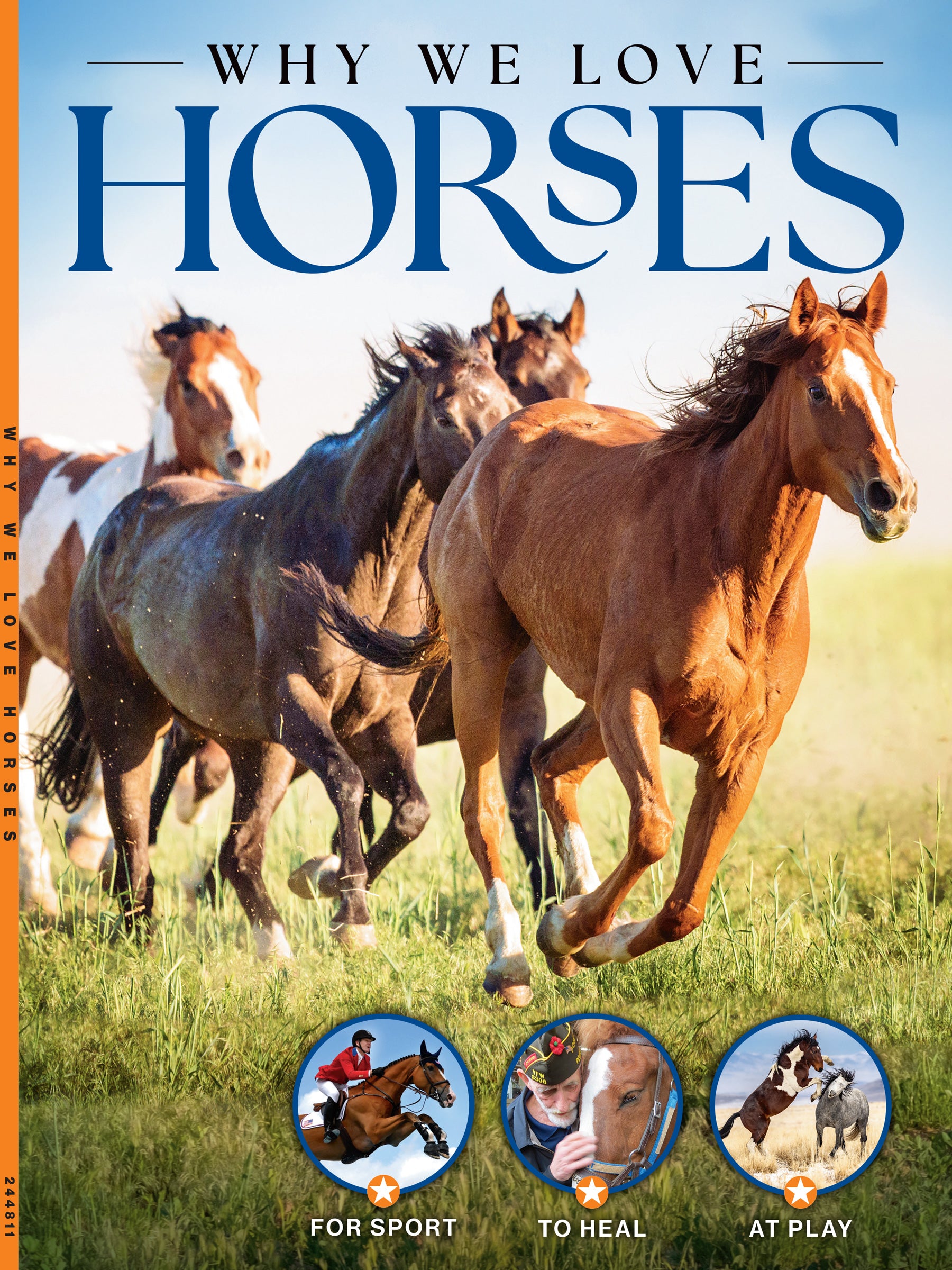Why We Love Horses - Equine Beauty, Horse Racing, Therapeutic Benefits ...
