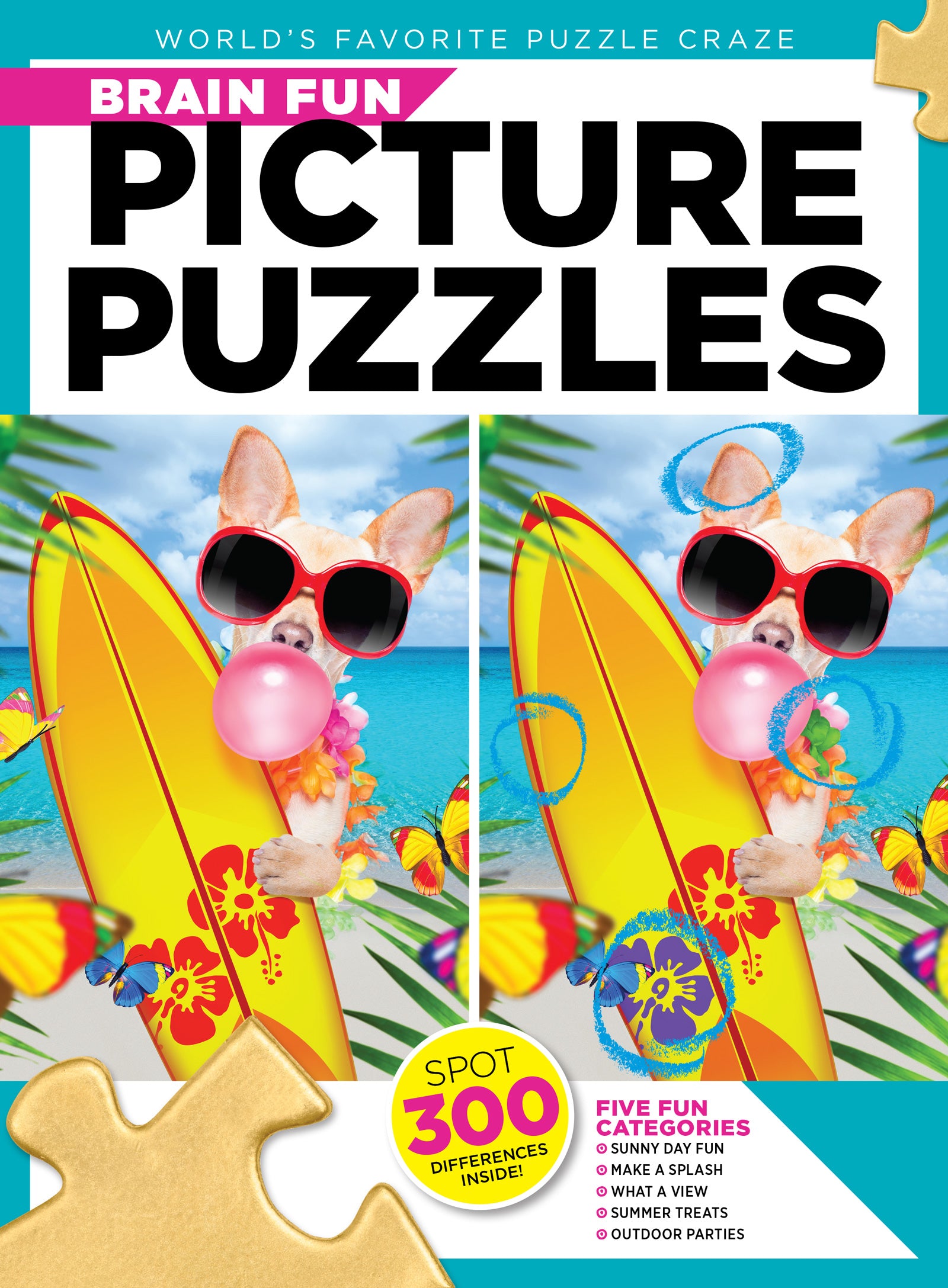Brain Fun - Picture Puzzles: Spot 300 Differences, Ultimate Brain Chal ...