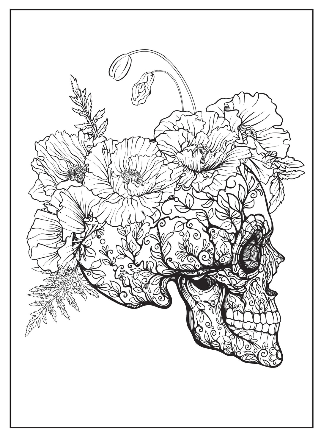 coloring pages skull and roses