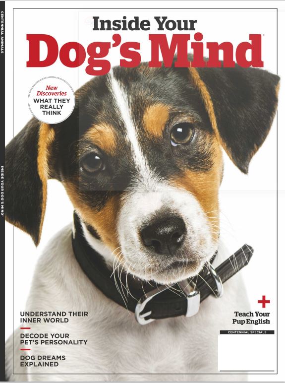 Inside Your Dog's Mind - New Discoveries: What They Really Think, Unde ...