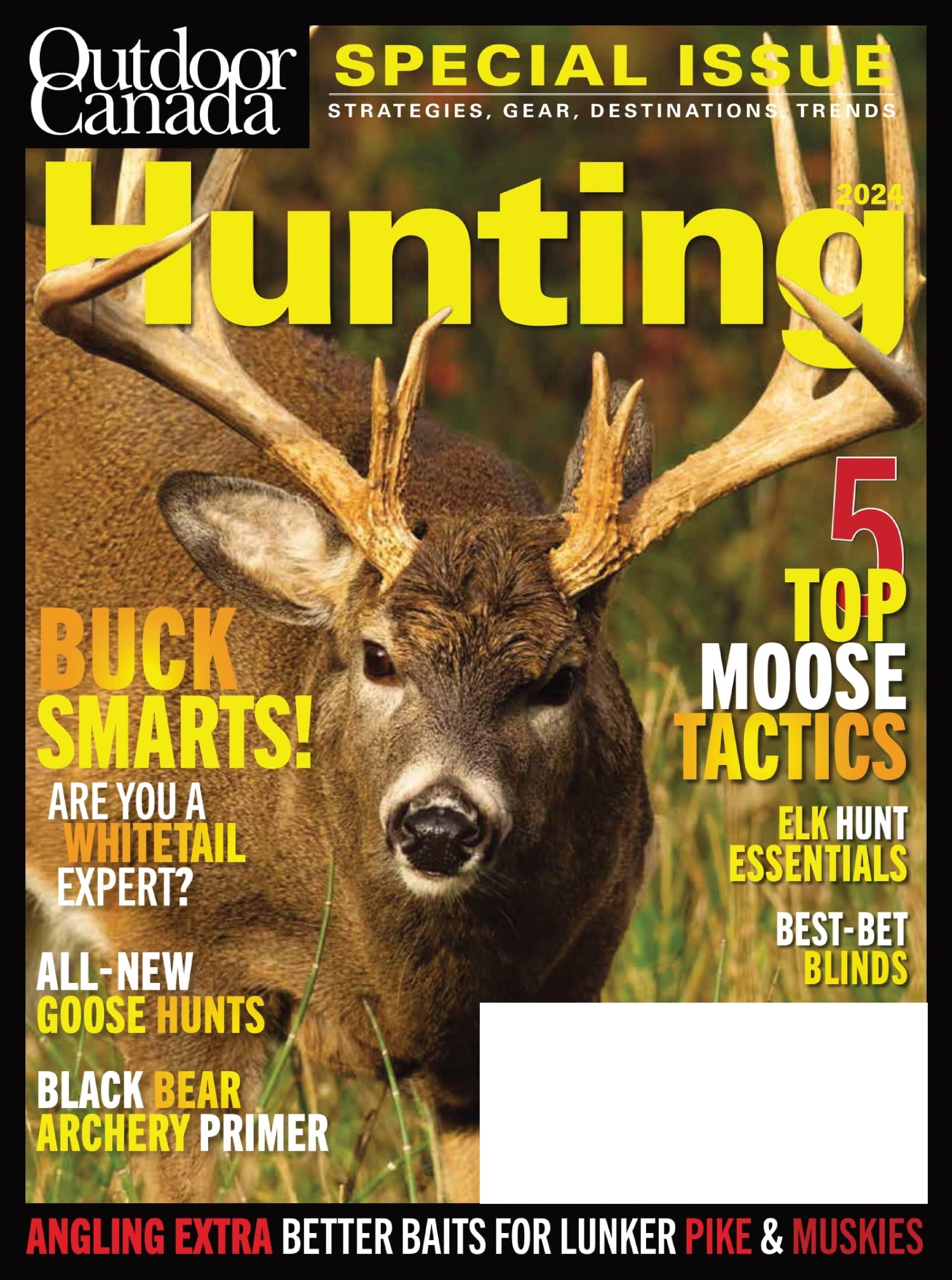 Outdoor Canada – Hunting Special 2024: 5 Moose Tactics, Elk Hunt Essen ...