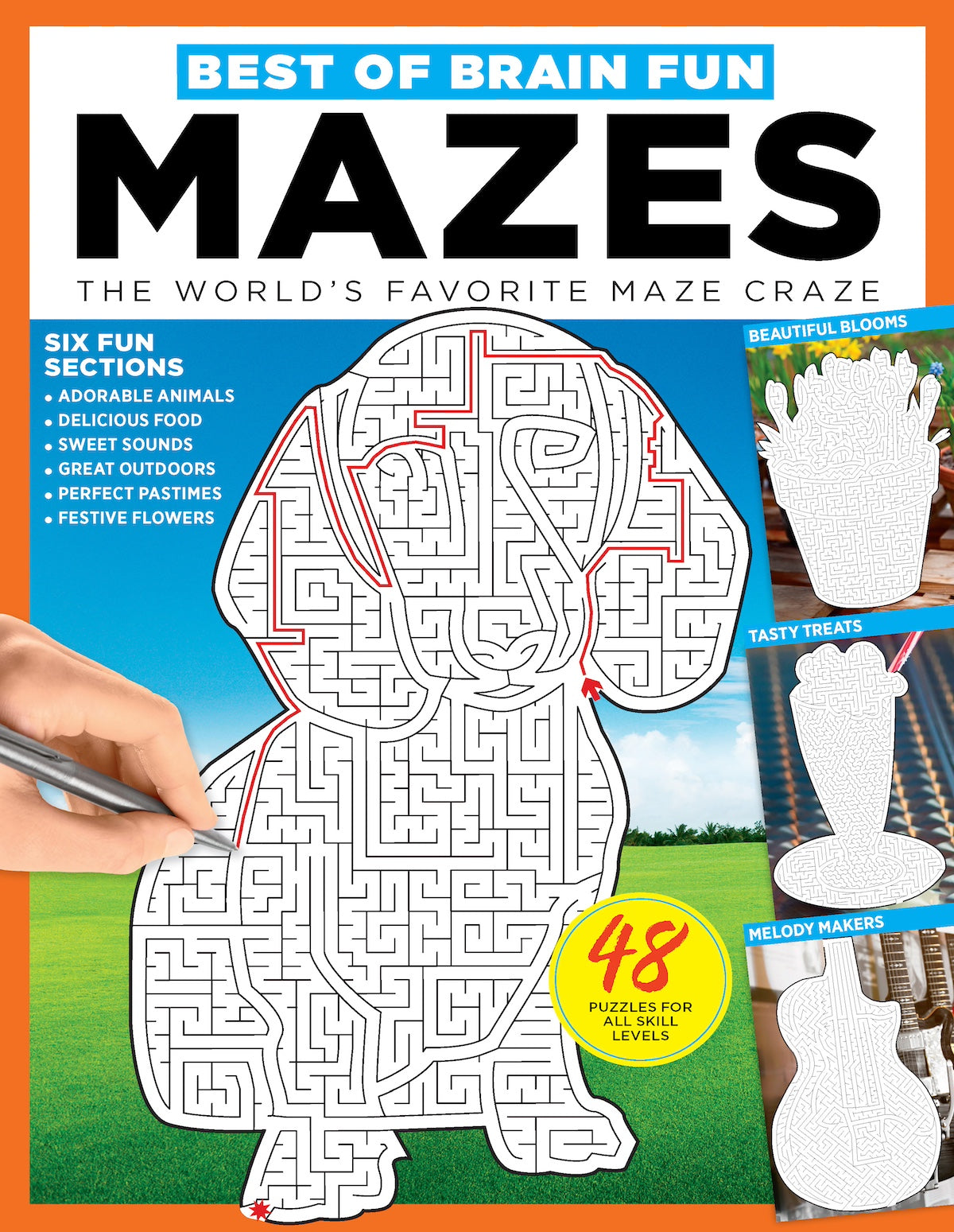 Brain Fun - Mazes: 48 Puzzles For All Skill Levels, Six Sections: Colo ...