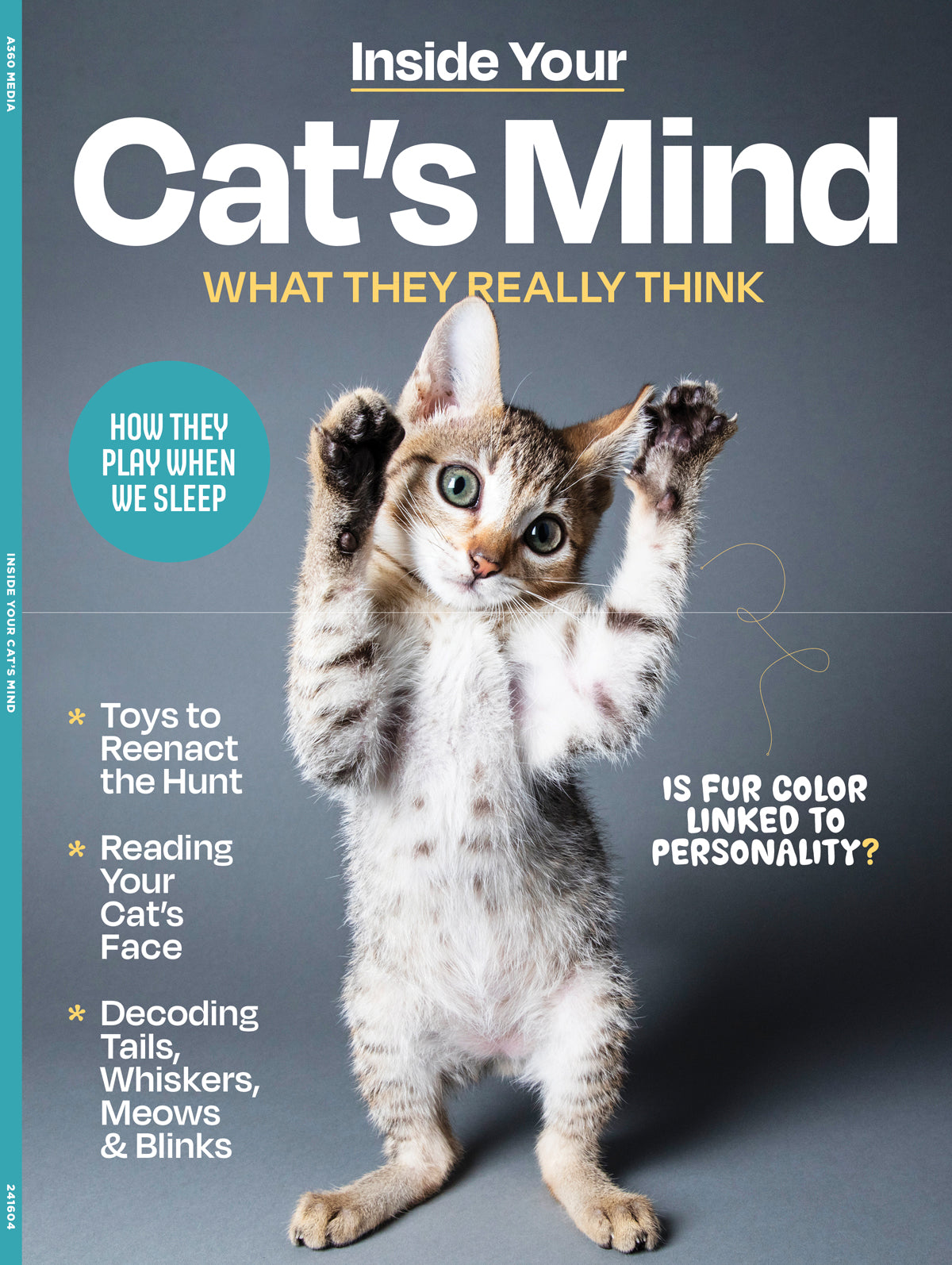 Inside Your Cat's Mind - Reading Cat's Face, Decoding Tails, Whiskers ...