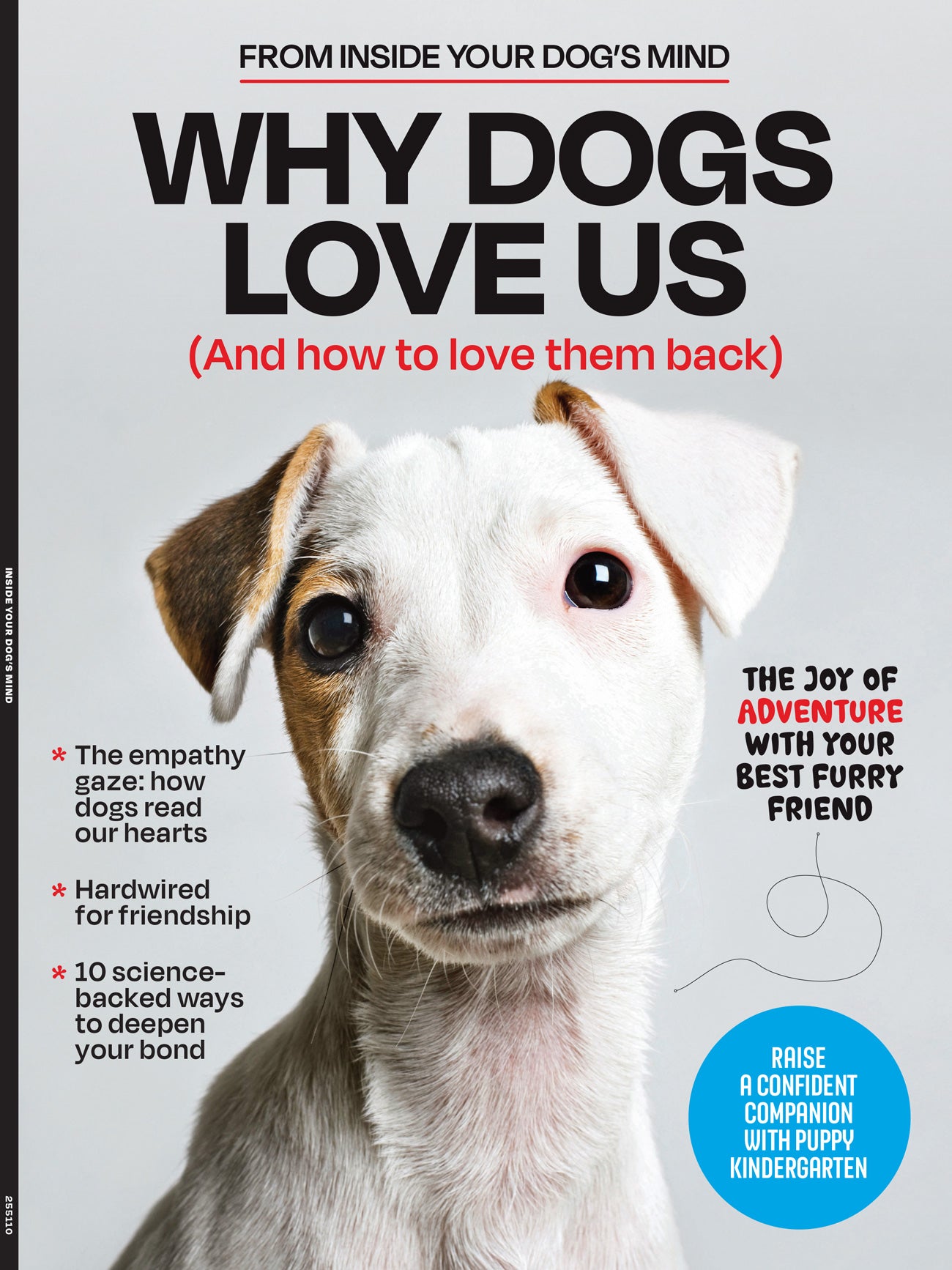 Inside Your Dog's Mind - Why Dogs Love Us & How To Love Them Back: Sci ...