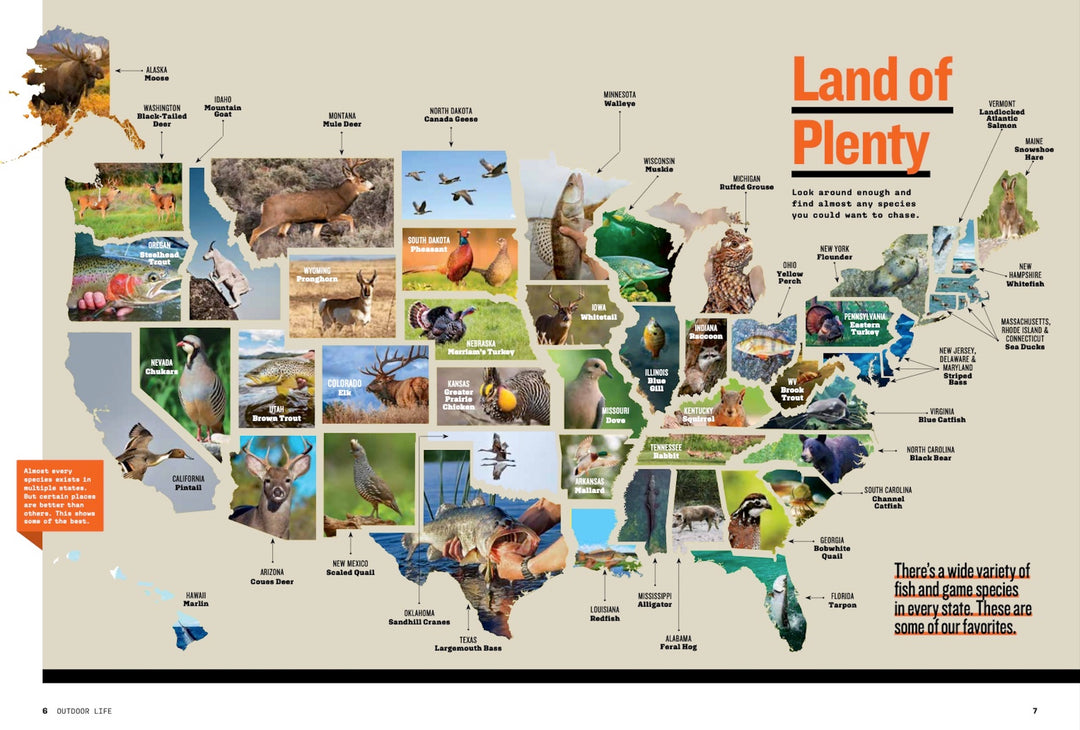 Blue Water sales Guide Service