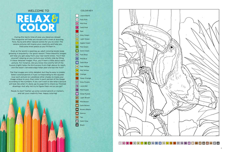 coloring book info
