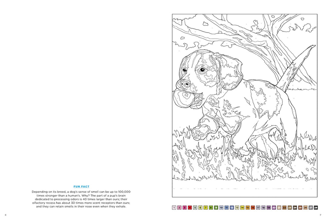 coloring pages world series 2015 royals mets