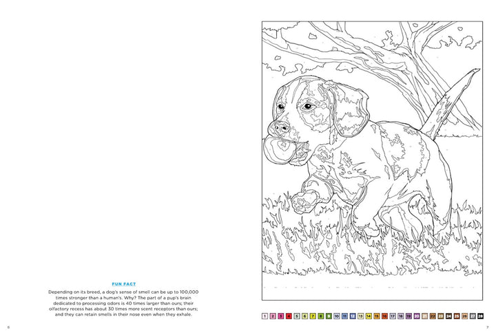 coloring book info coloringpages